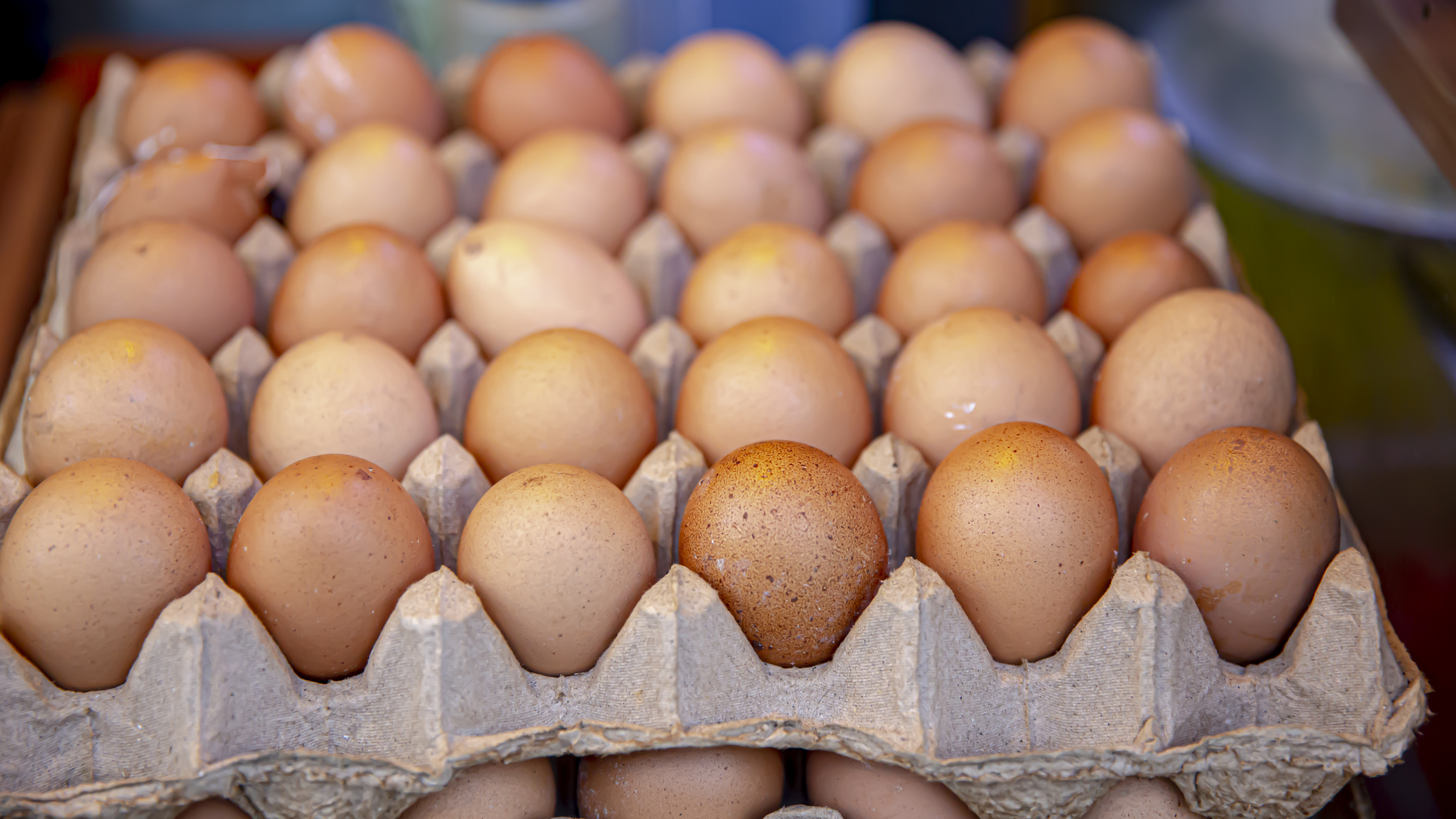 Massive Egg Salmonella Recall Highlights Traceability Challenges