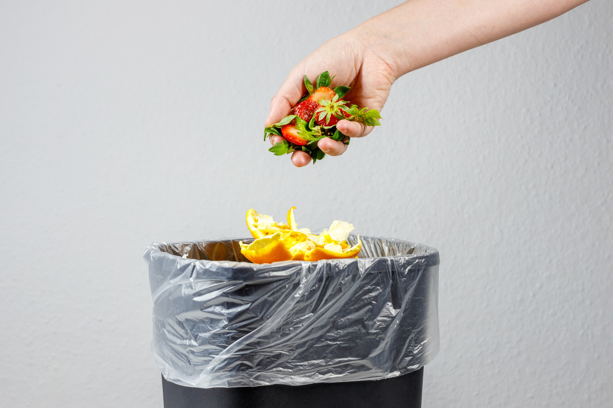Food Waste & Food Insecurity: A Growing Crisis with Emerging Solutions