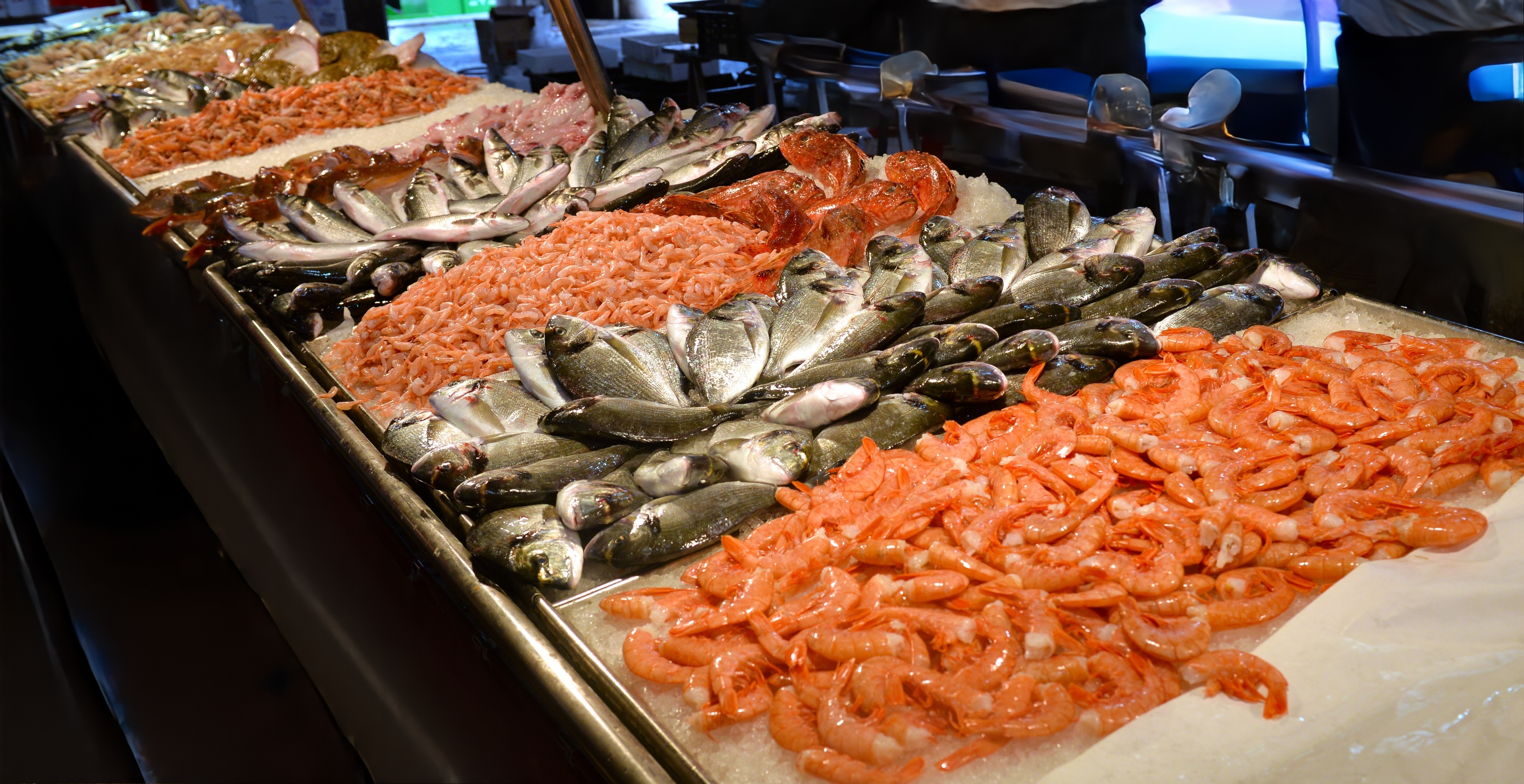 Ensuring Quality in Seafood Processing: Why It Matters